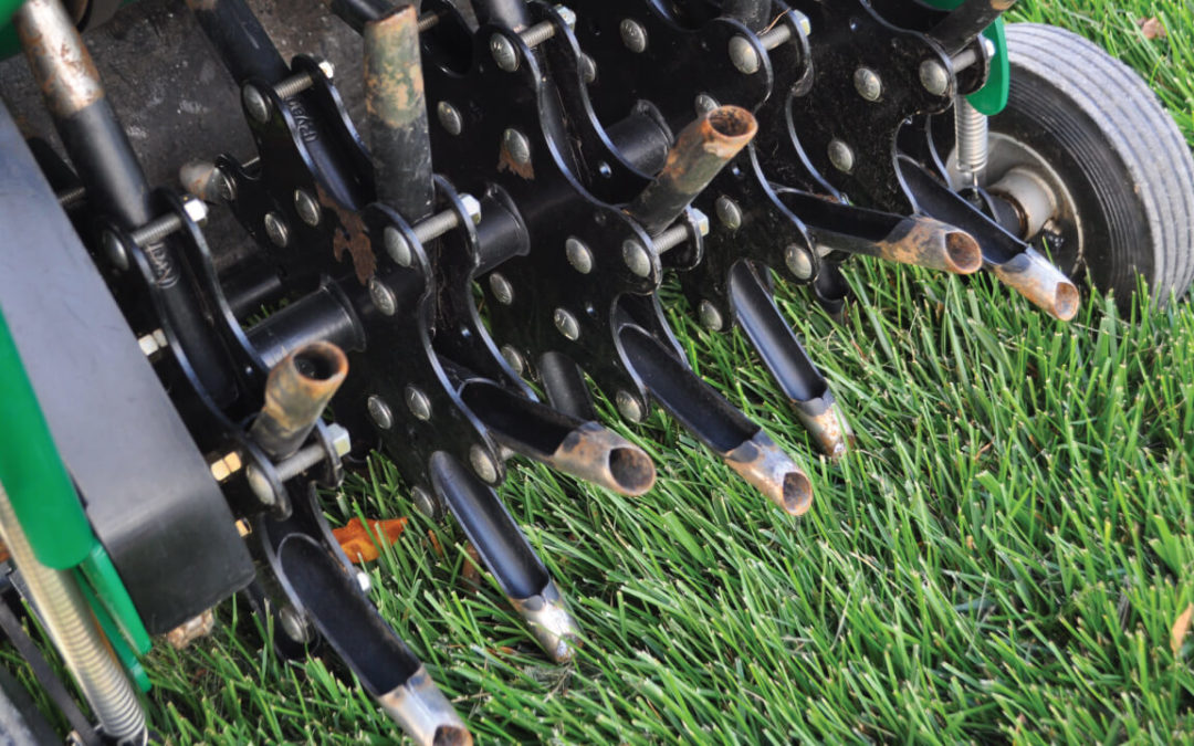 AERATION & SEEDING ANSWERS | GreenWorks Rhode Island Lawn Care Specialists