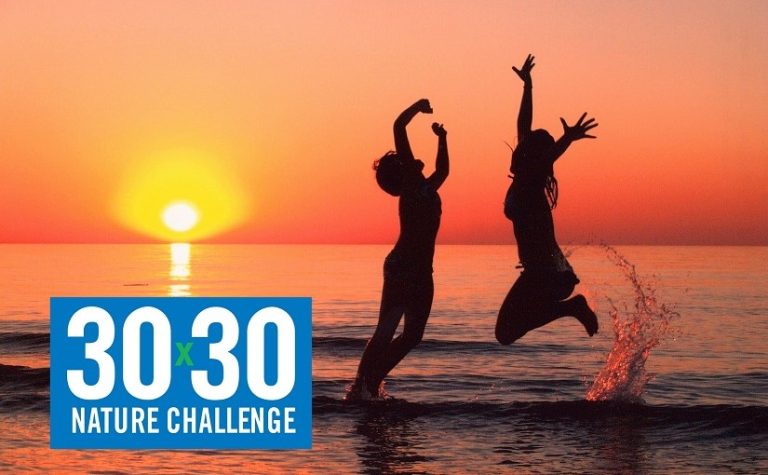 What Is The 30 30 Initiative For Conservation All About GreenWorks 